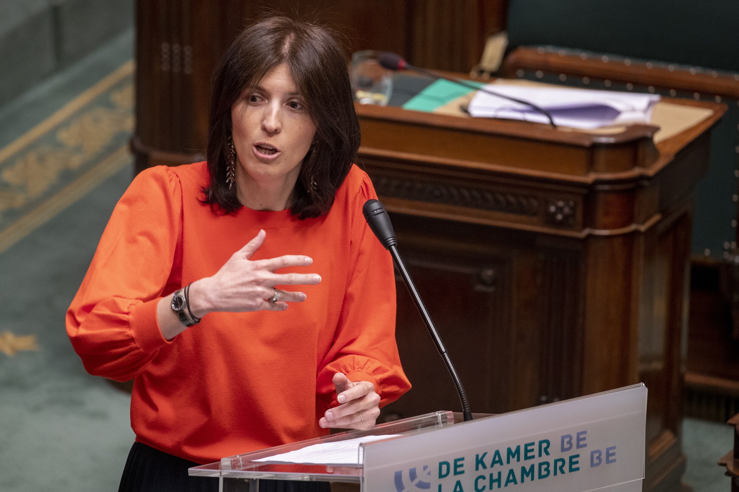 ‘Tinne Van der Straeten zegt soms dingen die ze zelf niet gelooft ...