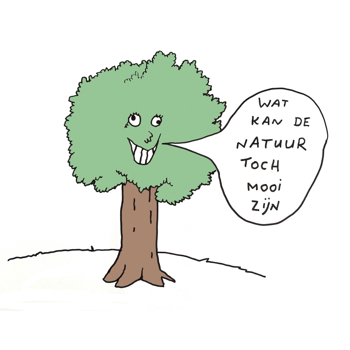 Groenblijvende Bomen Clipart Grote Boom Geïsoleerde Cartoon