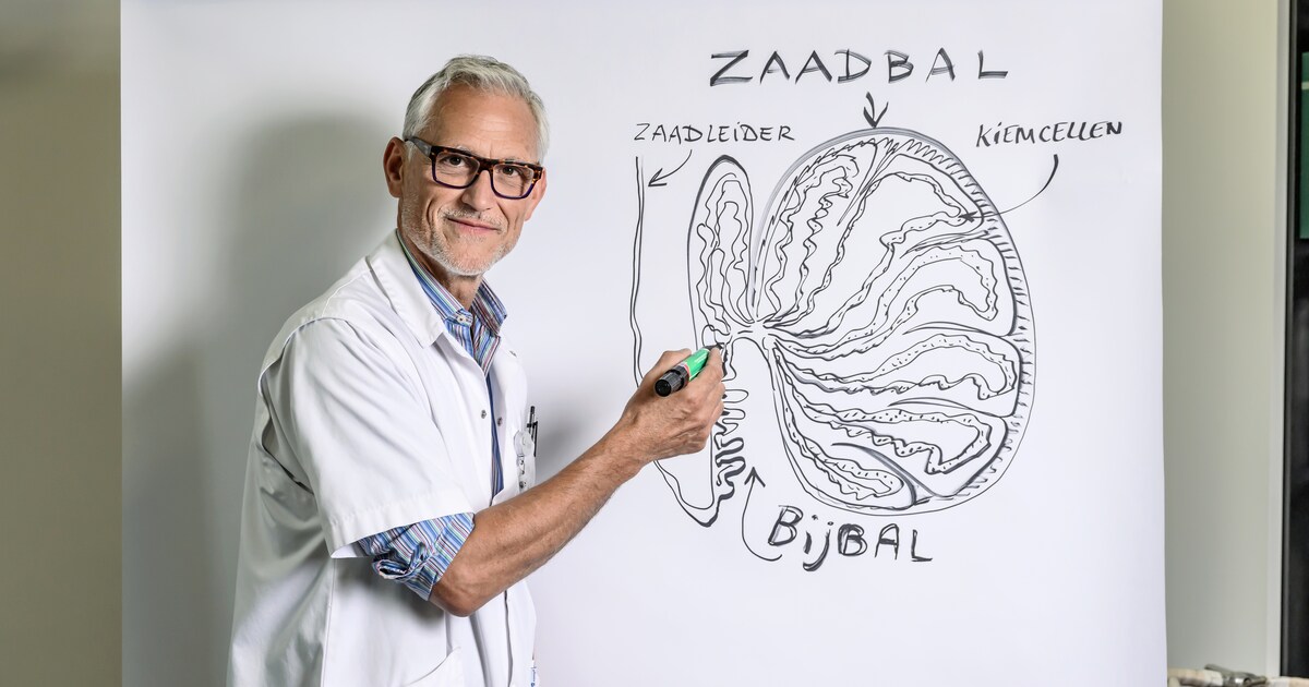 Alles over uw zaad: ‘Er is pas een negatieve invloed is op de ...