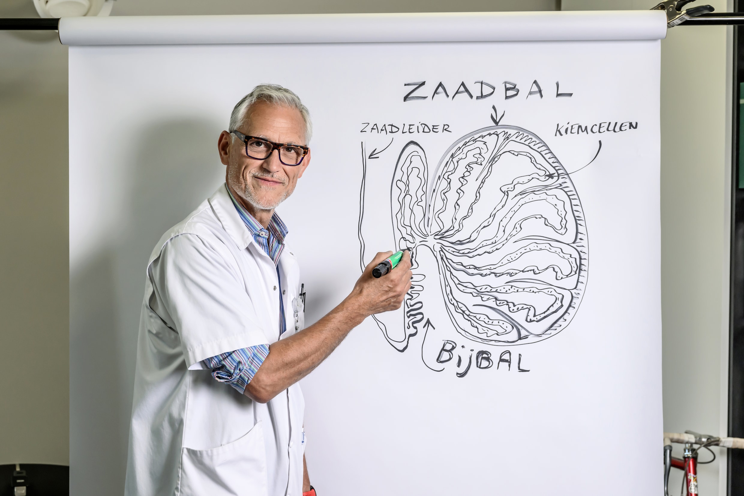 Alles over uw zaad: ‘Er is pas een negatieve invloed is op de ...