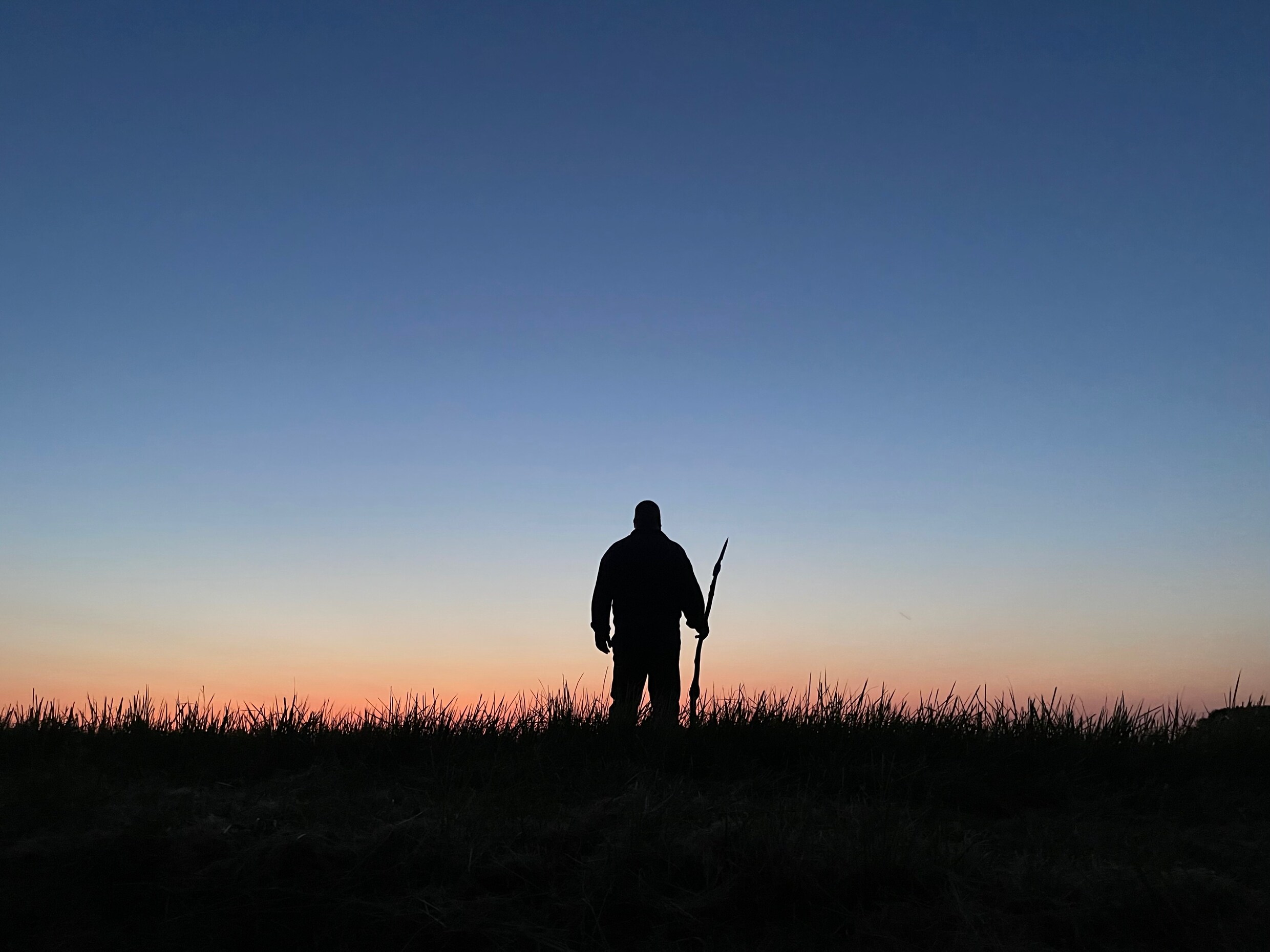 Een koningin, een acteur en het verval van Detroit: deze docu’s mag je ...