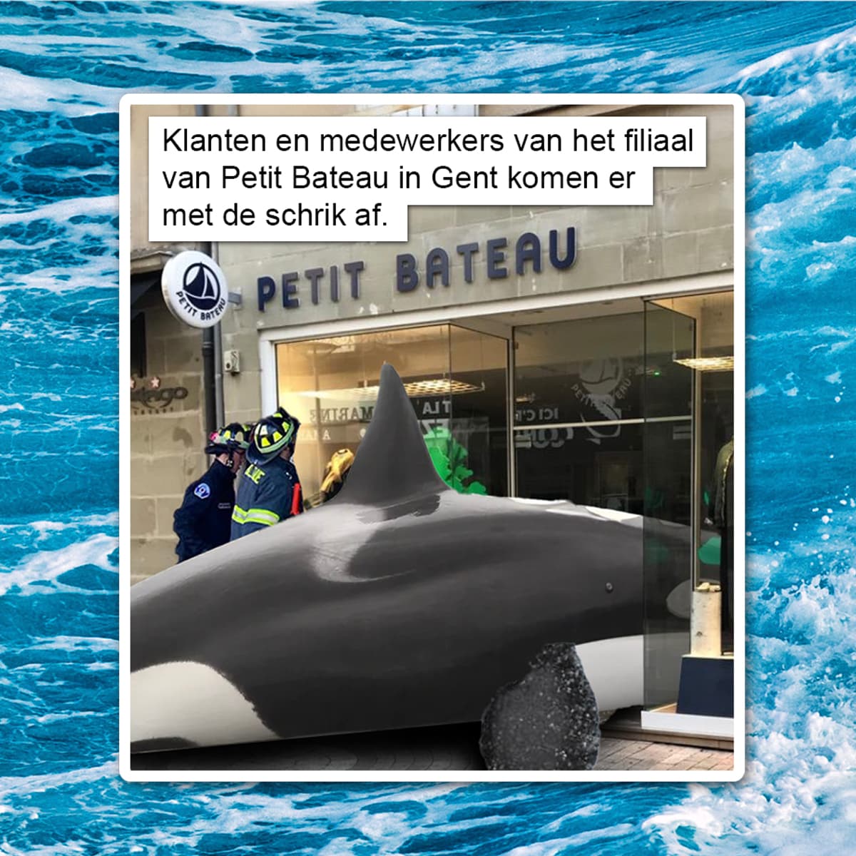 Het Gat van de Wereld ziet de katholieke kerk mooie geste doen na ‘Godvergeten’ | Humo: The Wild ...