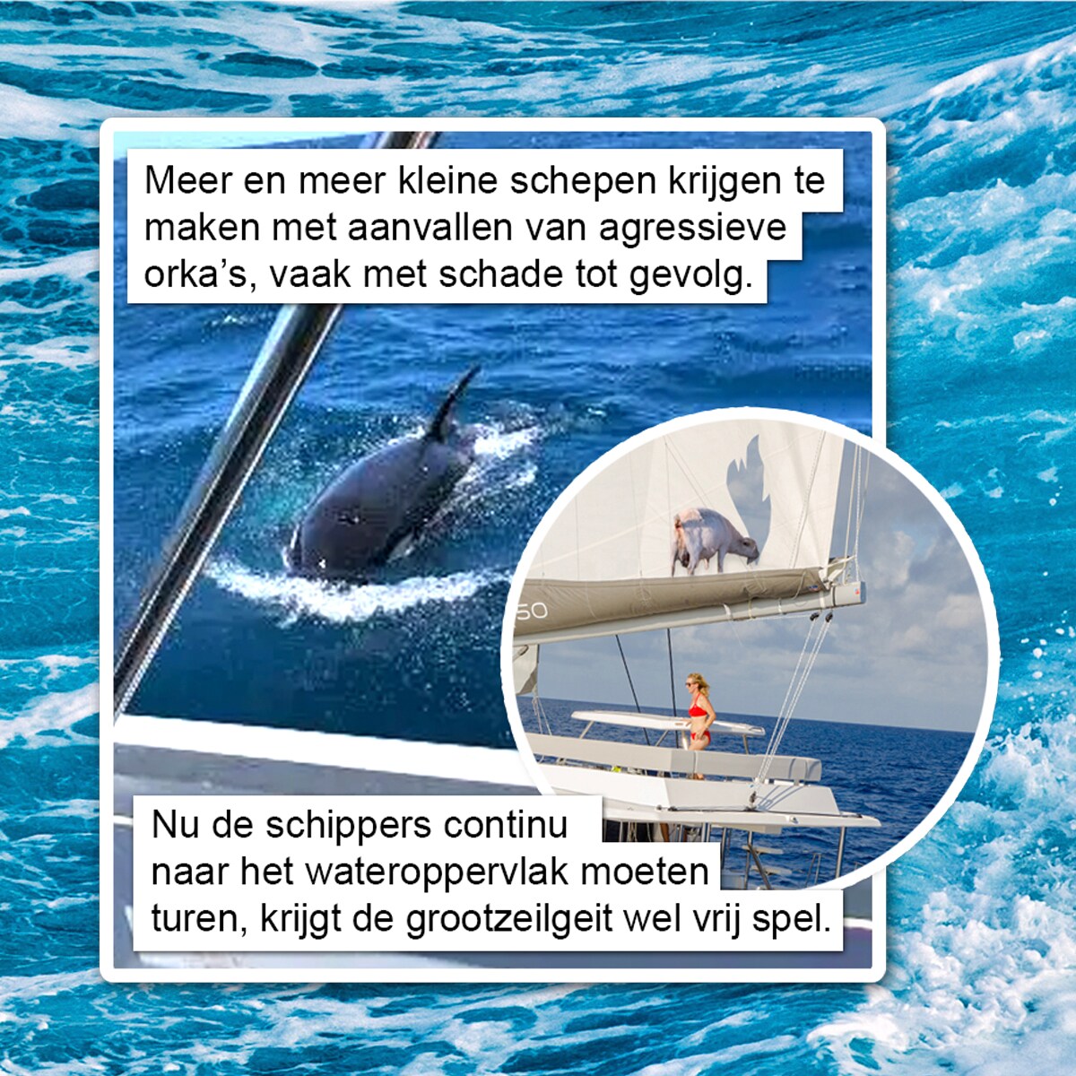 Het Gat van de Wereld ziet de katholieke kerk mooie geste doen na ...
