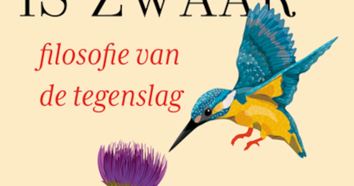 Review: 'Het leven is zwaar' van Kieran Setiya | Humo: The Wild Site