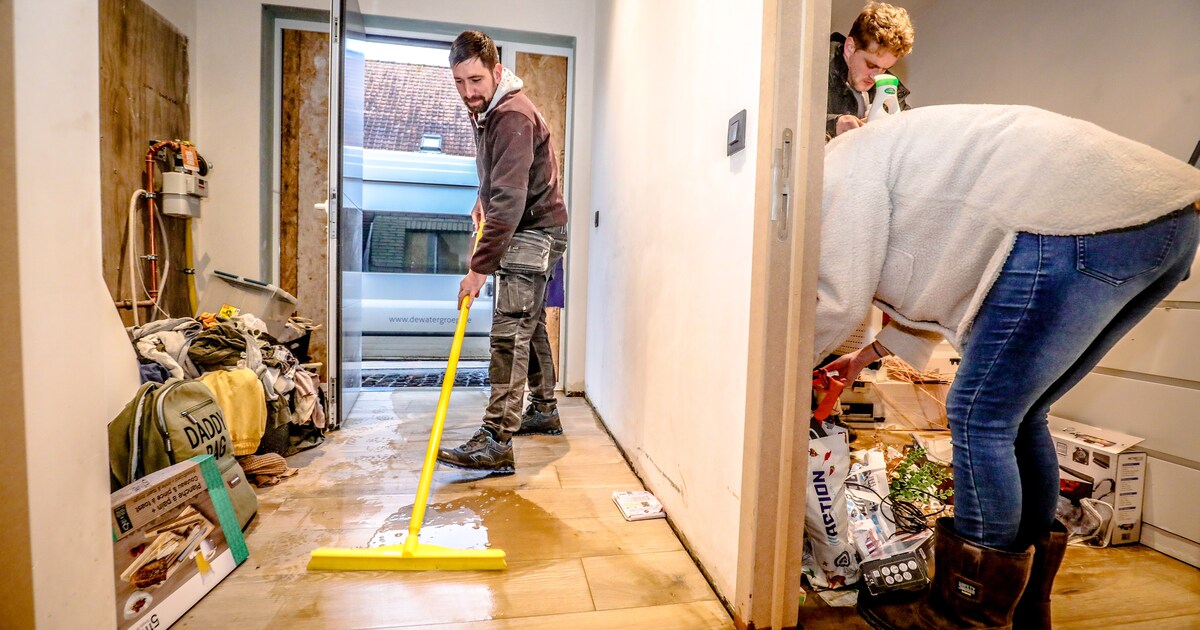 Onderhoud de tuin en controleer het platte dak: dit kan u doen om uw ...
