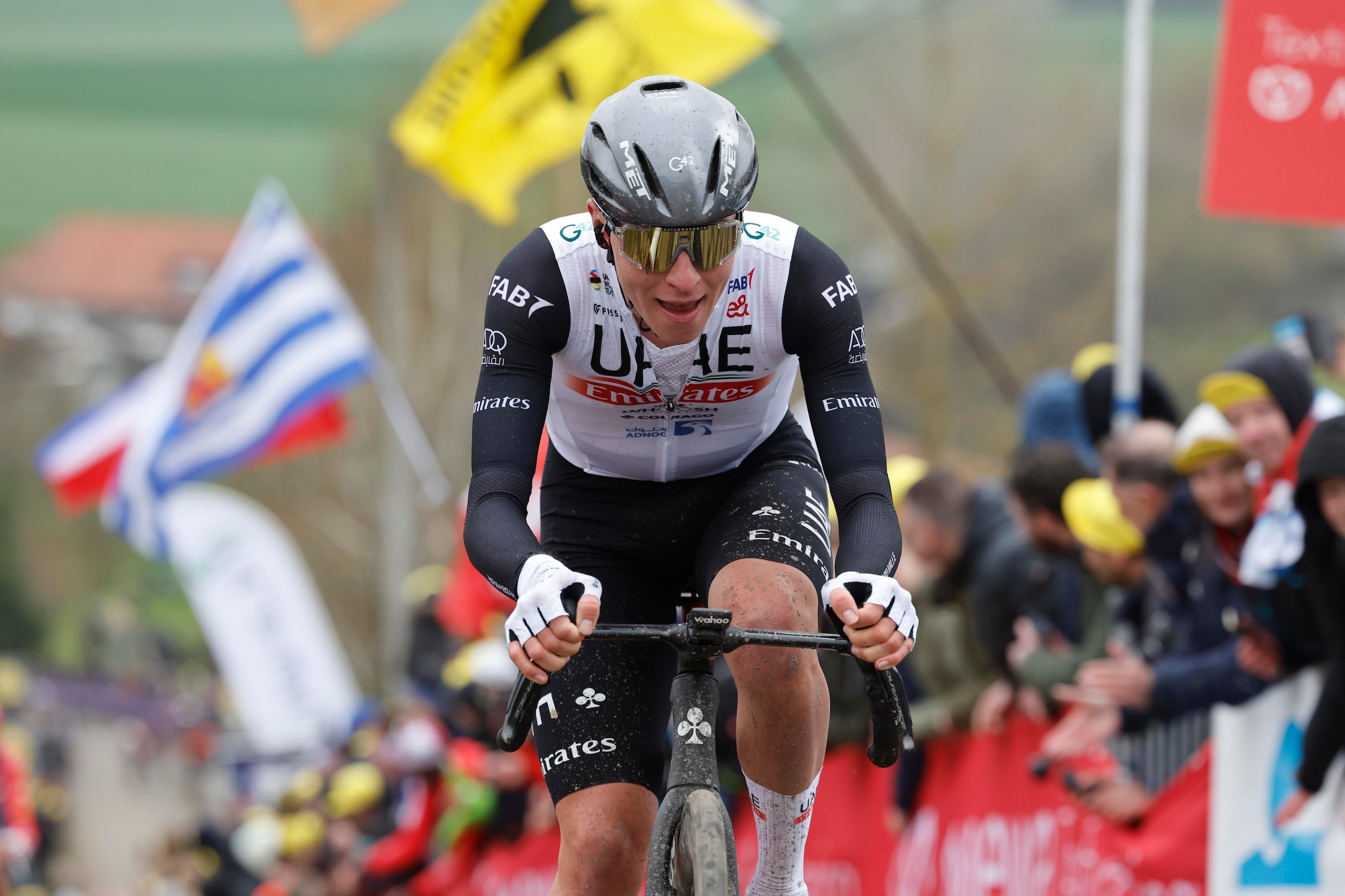 Greg Van Avermaet en Gert Verheyen: ‘Snooker is absoluut topsport. En ...