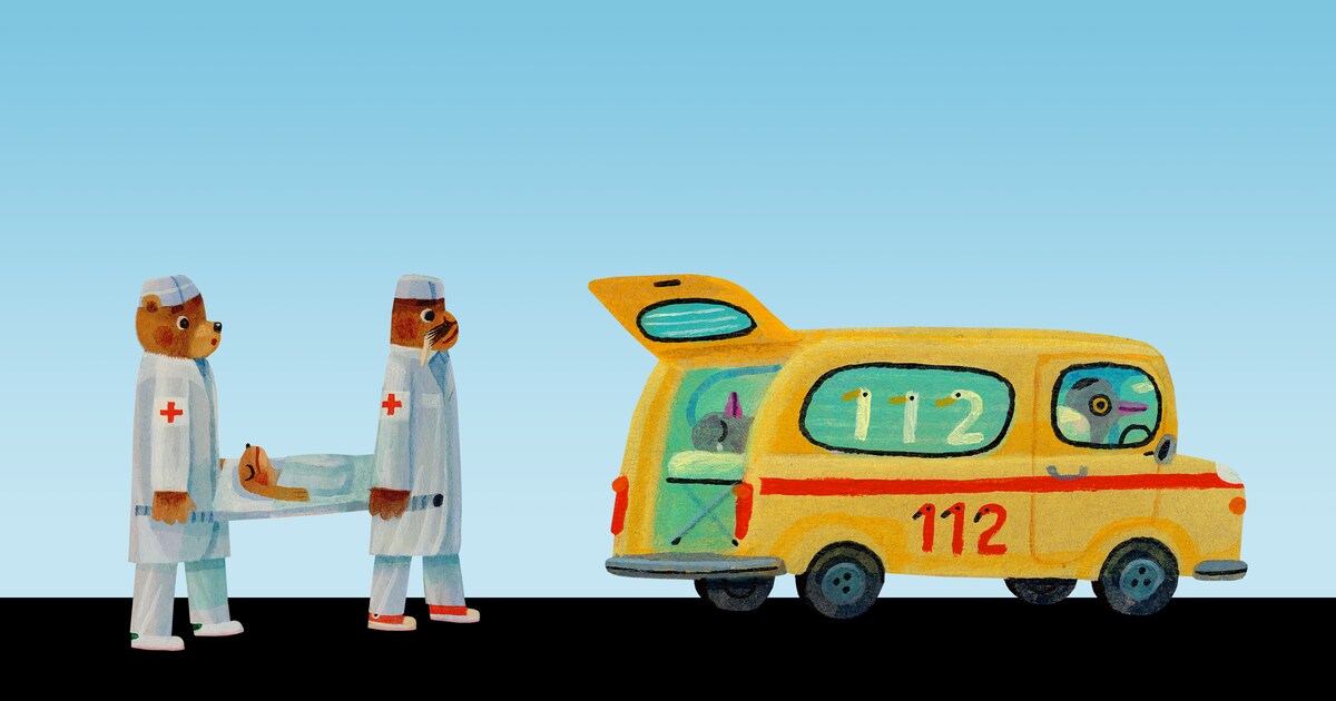 ‘De voetganger wordt meer en meer in het nauw gedreven’ | Humo: The ...