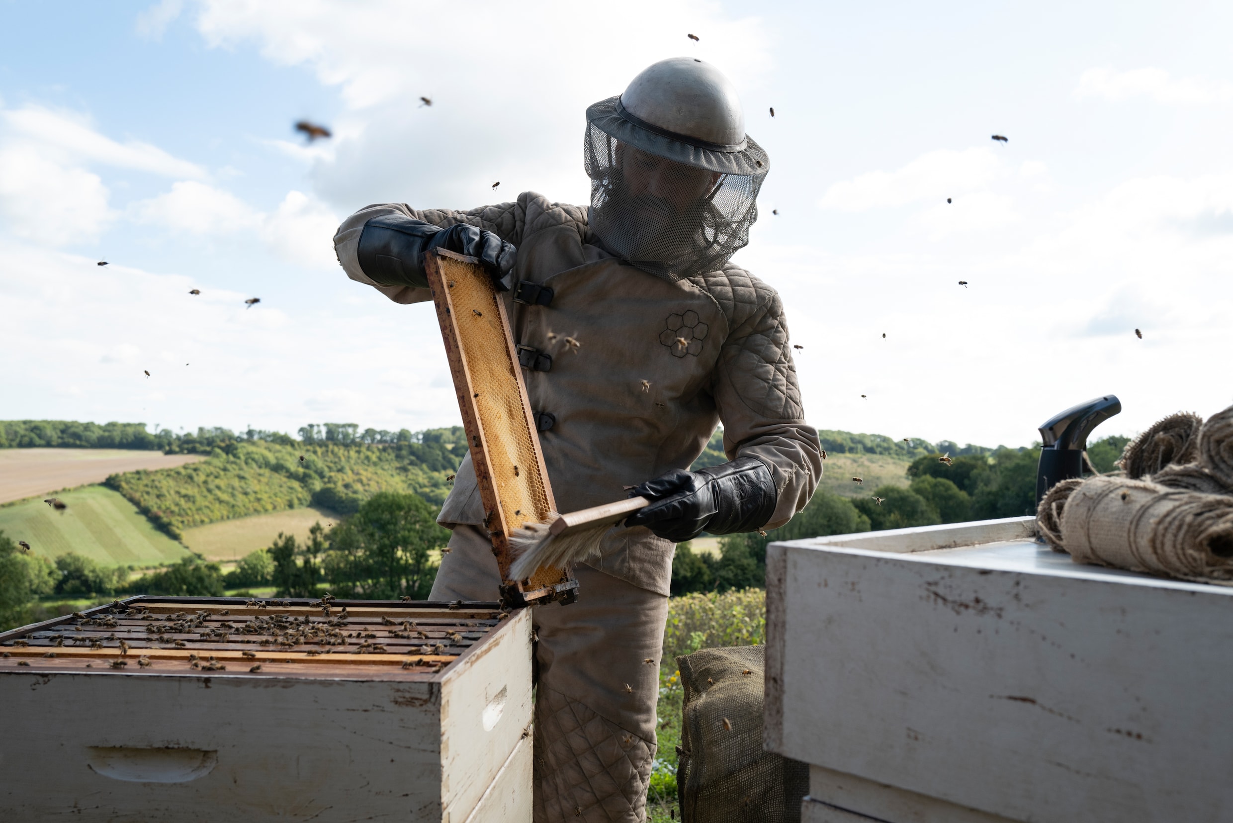 Reviews 'The Beekeeper' ★★★☆☆ | Humo: The Wild Site