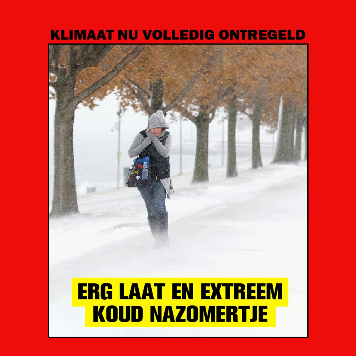 Het Gat van de Wereld over het keppeltje van advocaat Hans Rieder: ‘Hij ...