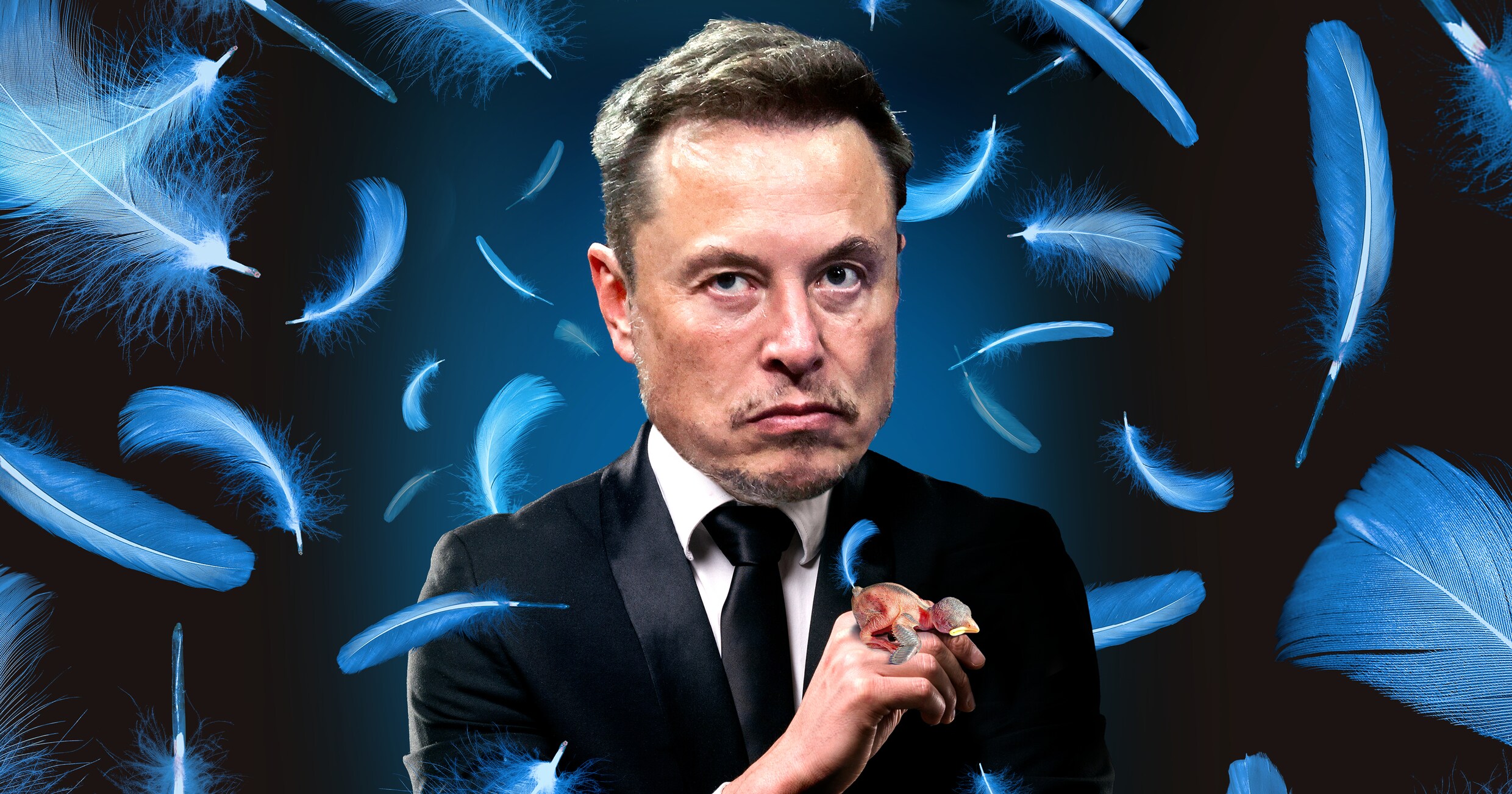 Hoe Twitter onder Elon Musk zijn pluimen verloor: ‘We doen het juiste ...