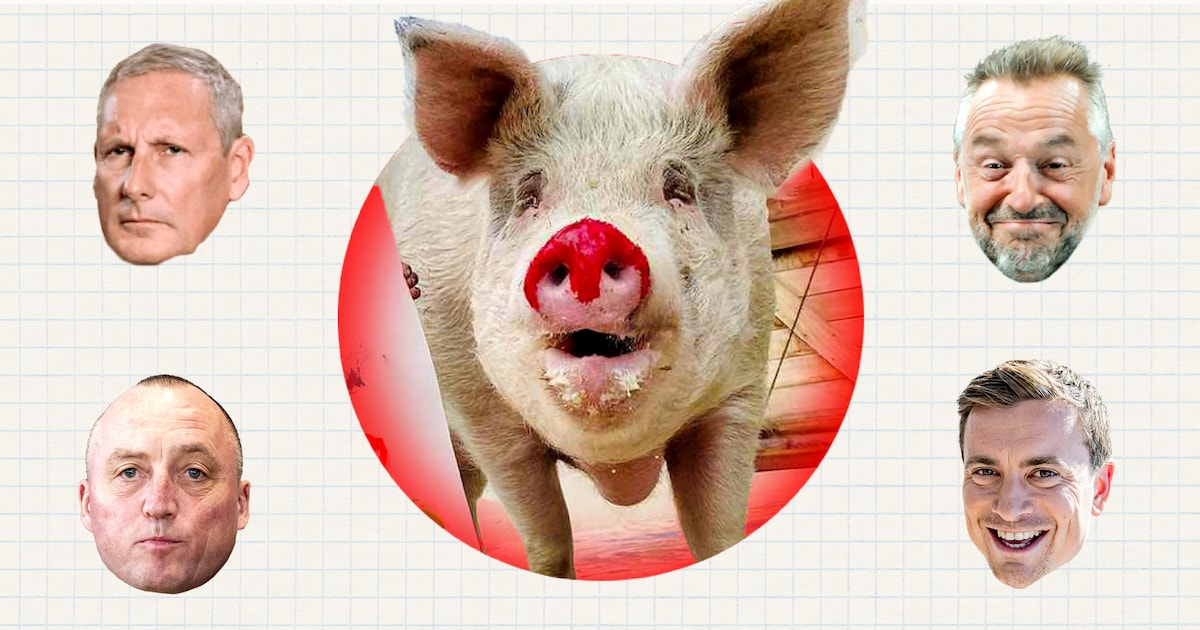 Was het Niels Destadsbader, Tom Waes of Gert Verhulst? Speel nu Humo’s ...