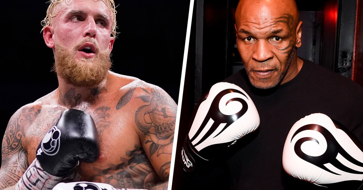 Een fikse rechtse: Mike Tyson neemt het speciaal voor Netflix op tegen ...