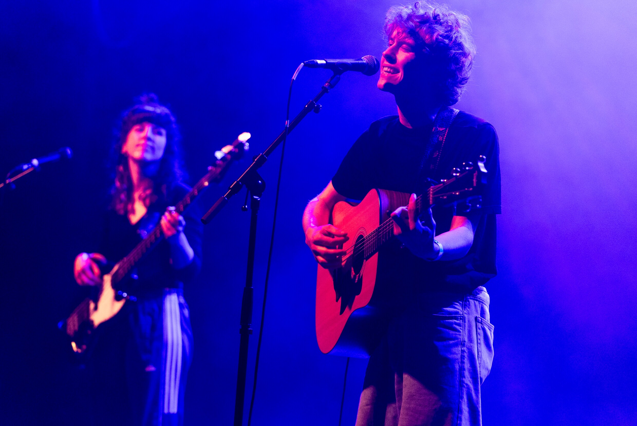 Arend Delabie | Humo: The Wild Site