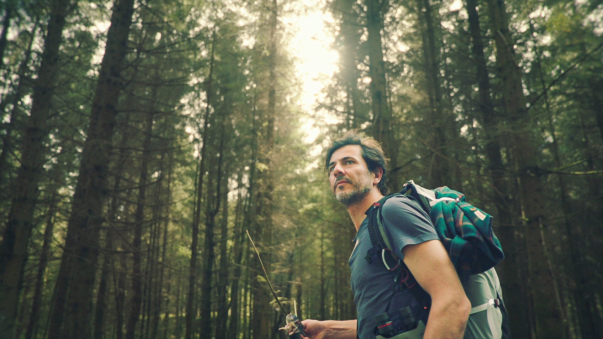 Ook in ‘Door de bomen’ met Dieter Coppens vloeiden tranen. Maar voor ...