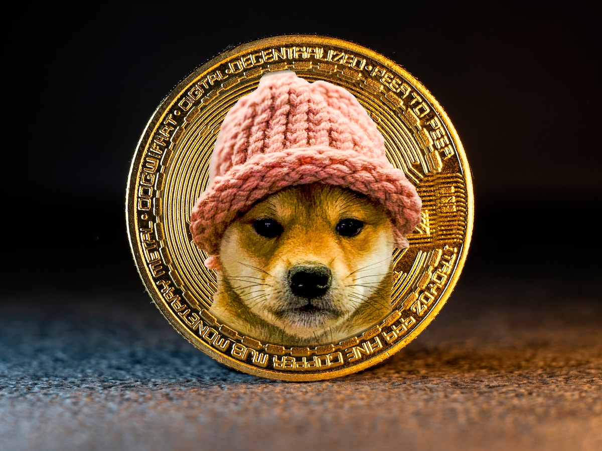Goede Hond Meme This Is Fine Meme Etsy Nederland
