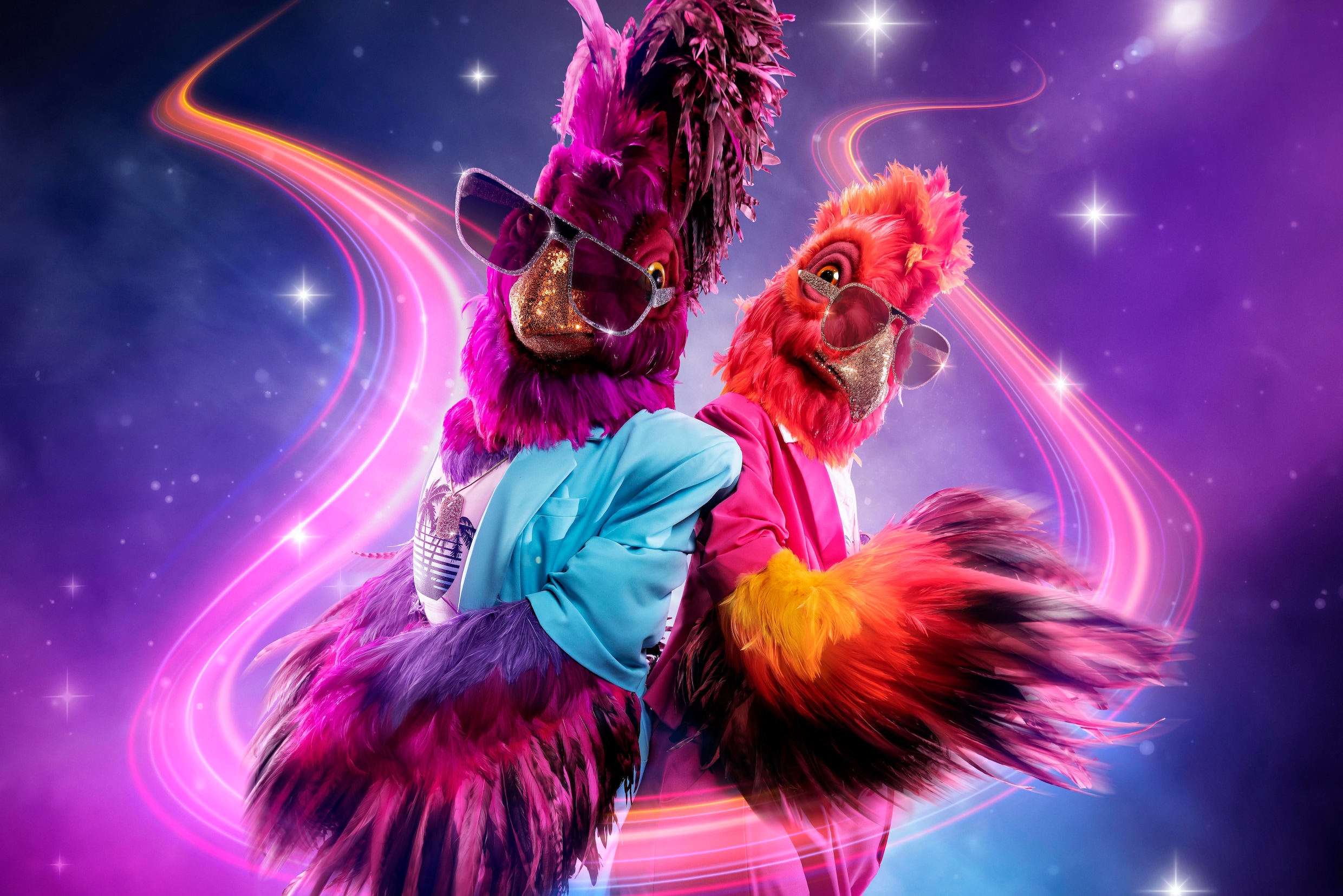 ‘The Masked Singer’ onthult alle pakken: van Feniks over Dame Blanche ...