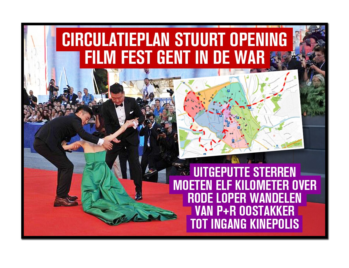 Het Gat van de Wereld ziet dat het niet goed gaat met wilde dieren: ‘De populatie kameleons ...