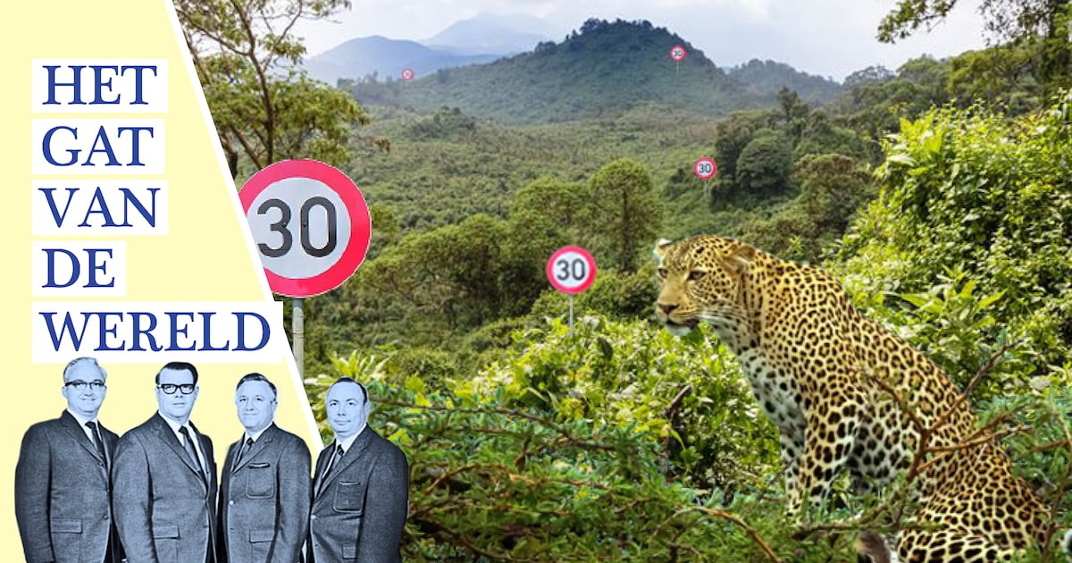 Het Gat van de Wereld ziet dat het niet goed gaat met wilde dieren: ‘De populatie kameleons ...