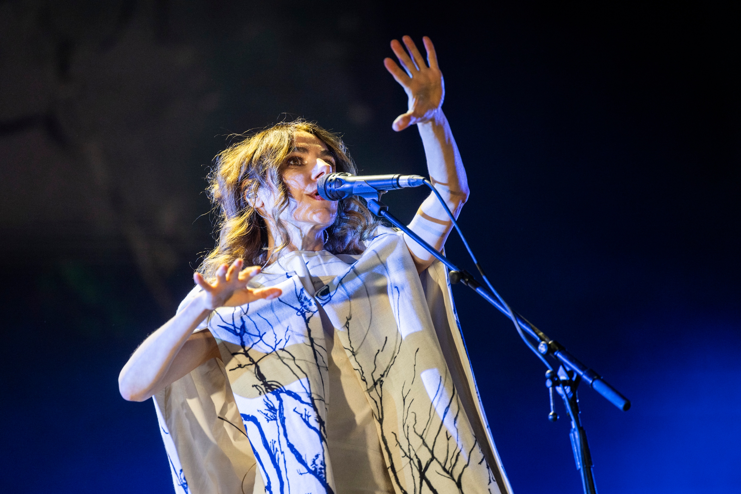 ︎ PJ Harvey lost met het kosmische ‘Voyager’ haar eerste single in drie ...