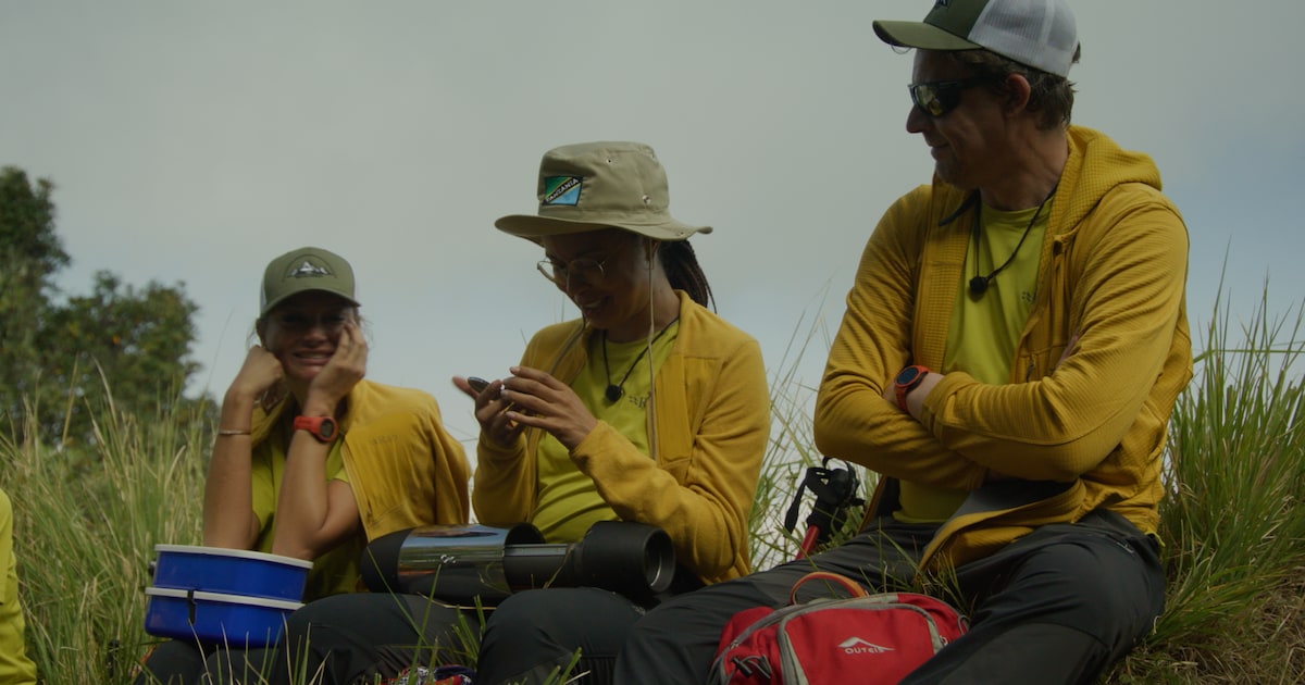 ‘Meer benen, minder wenen’: in ‘De rugzak’ op VRT 1 blijft de piek ...