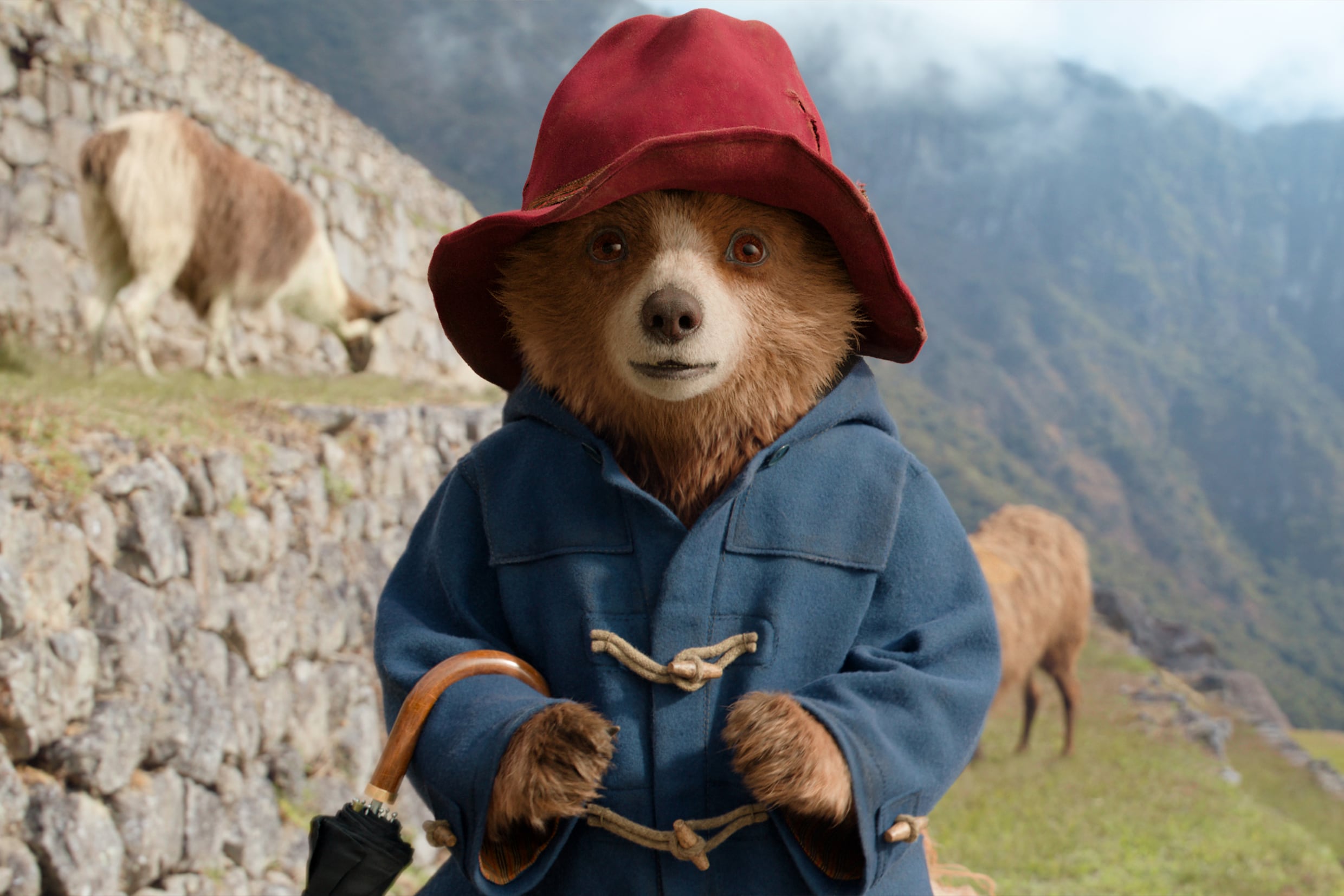 Is beertje Paddington een tegengif voor onze cynische wereld? ‘Hij ...