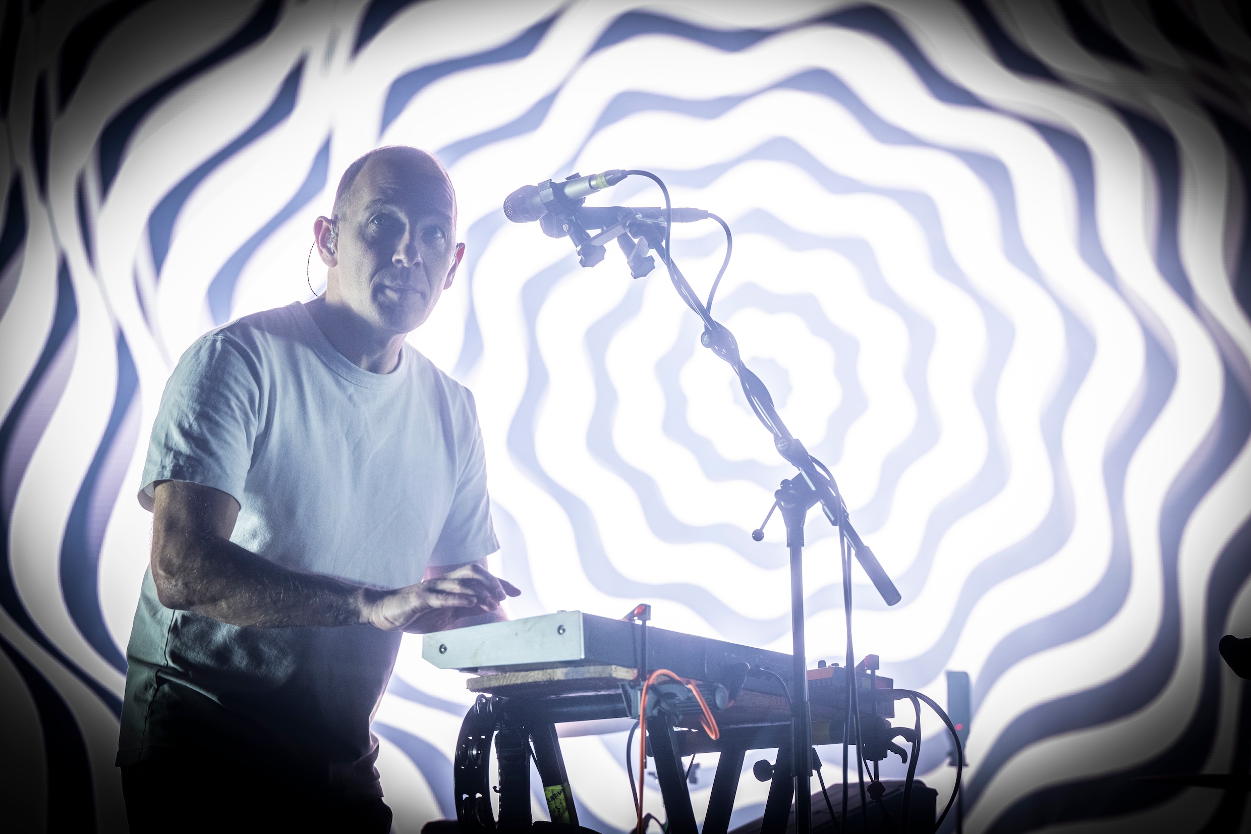 Caribou transformeerde in de AB van een mak lammetje tot een vierkoppig ...