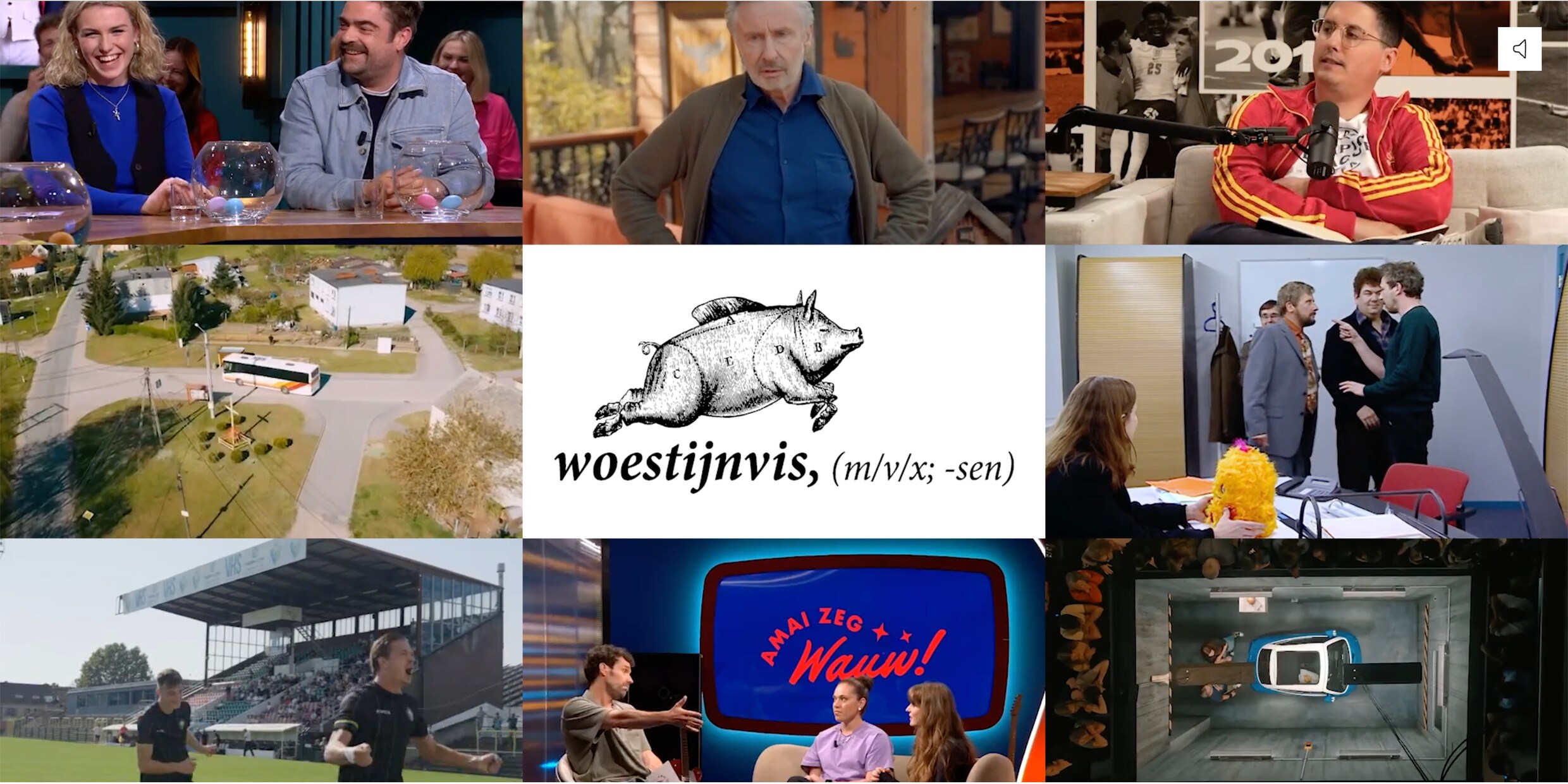 Woestijnvis ontslaat twaalf medewerkers: ‘Nu ingrijpen om in de ...