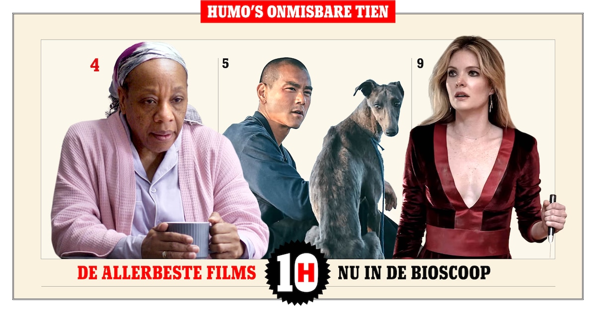 De 10 beste films nu in de bioscoop (april 2025) | Humo: The Wild Site