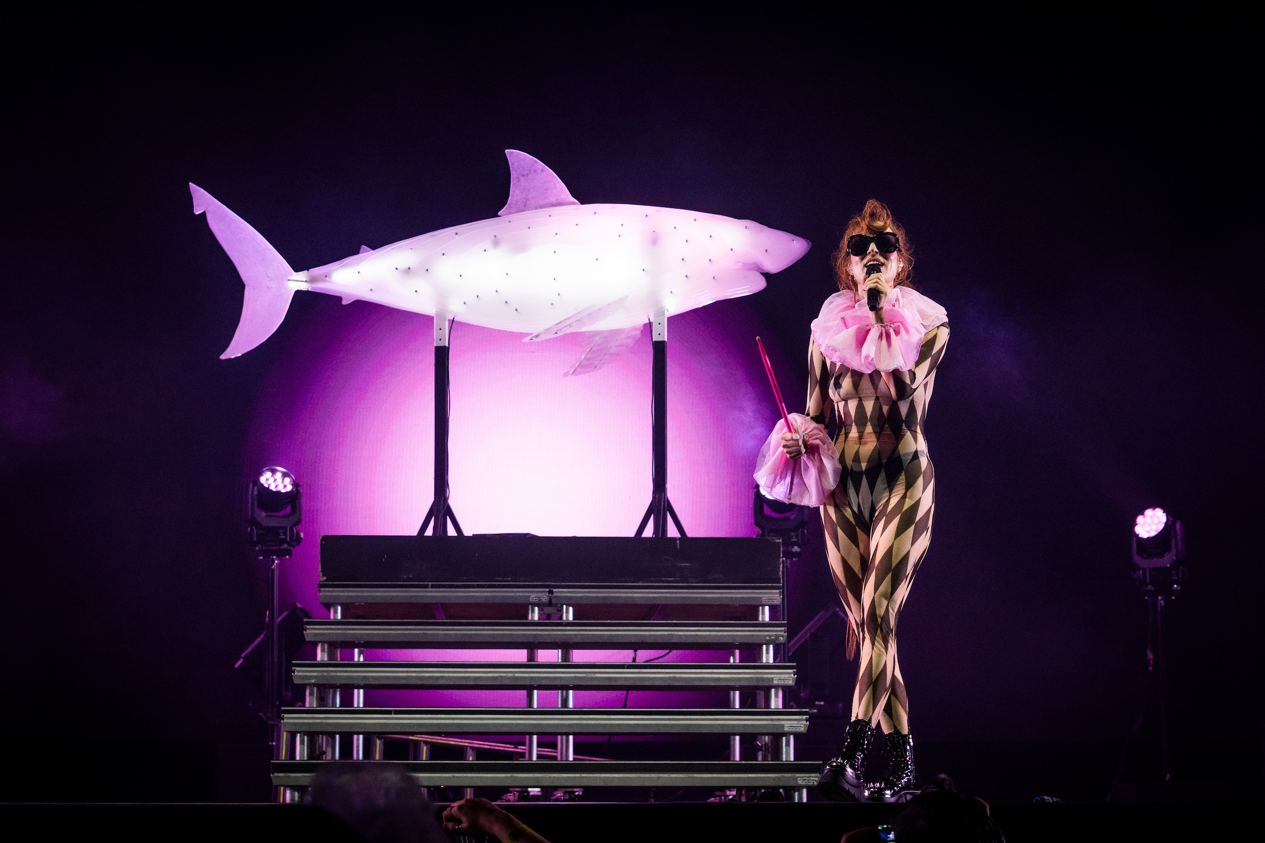 De rimpels van Iggy Pop, de gil van Olivia Rodrigo en de haai van Merol ...