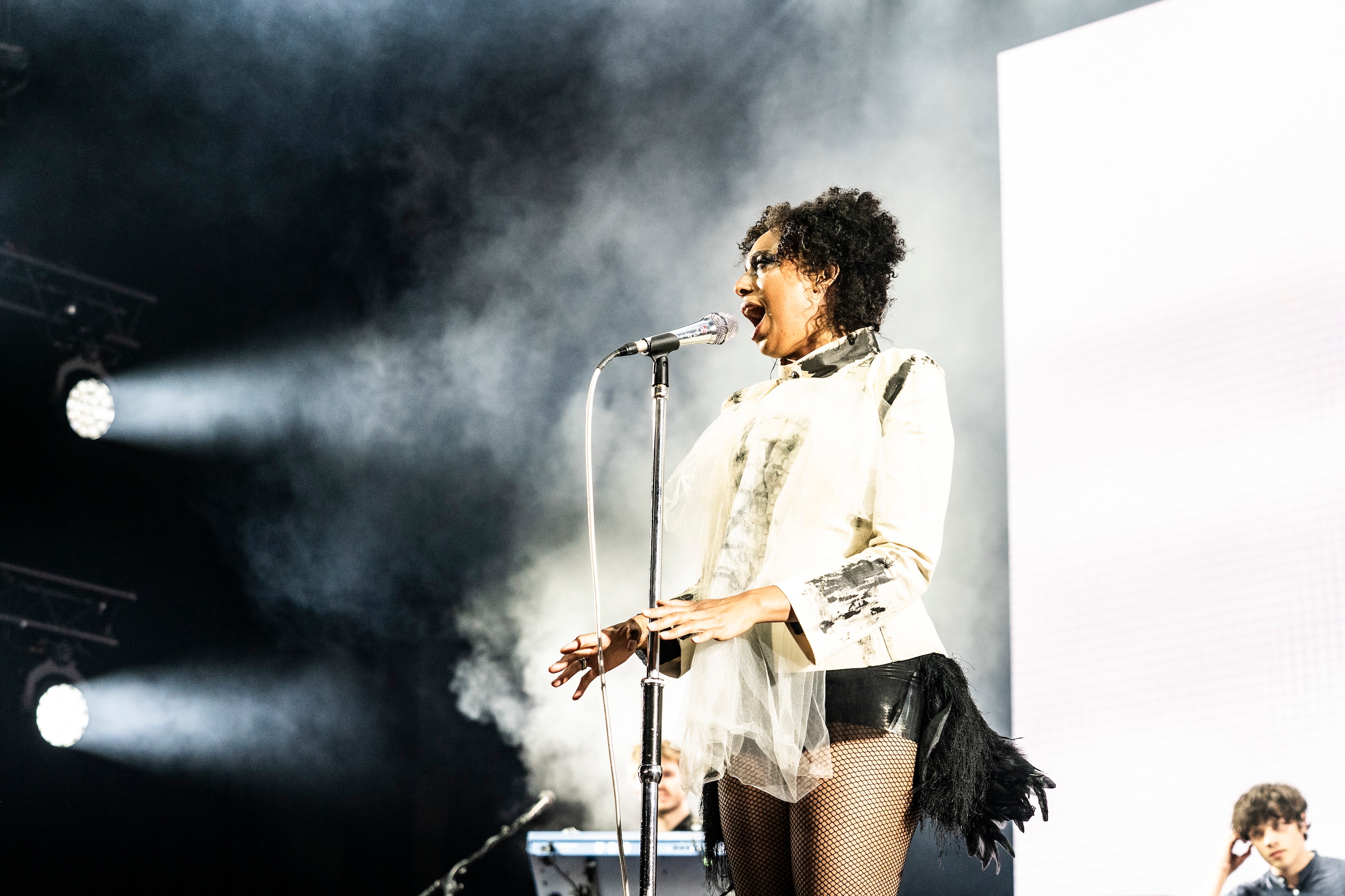 De rimpels van Iggy Pop, de gil van Olivia Rodrigo en de haai van Merol ...