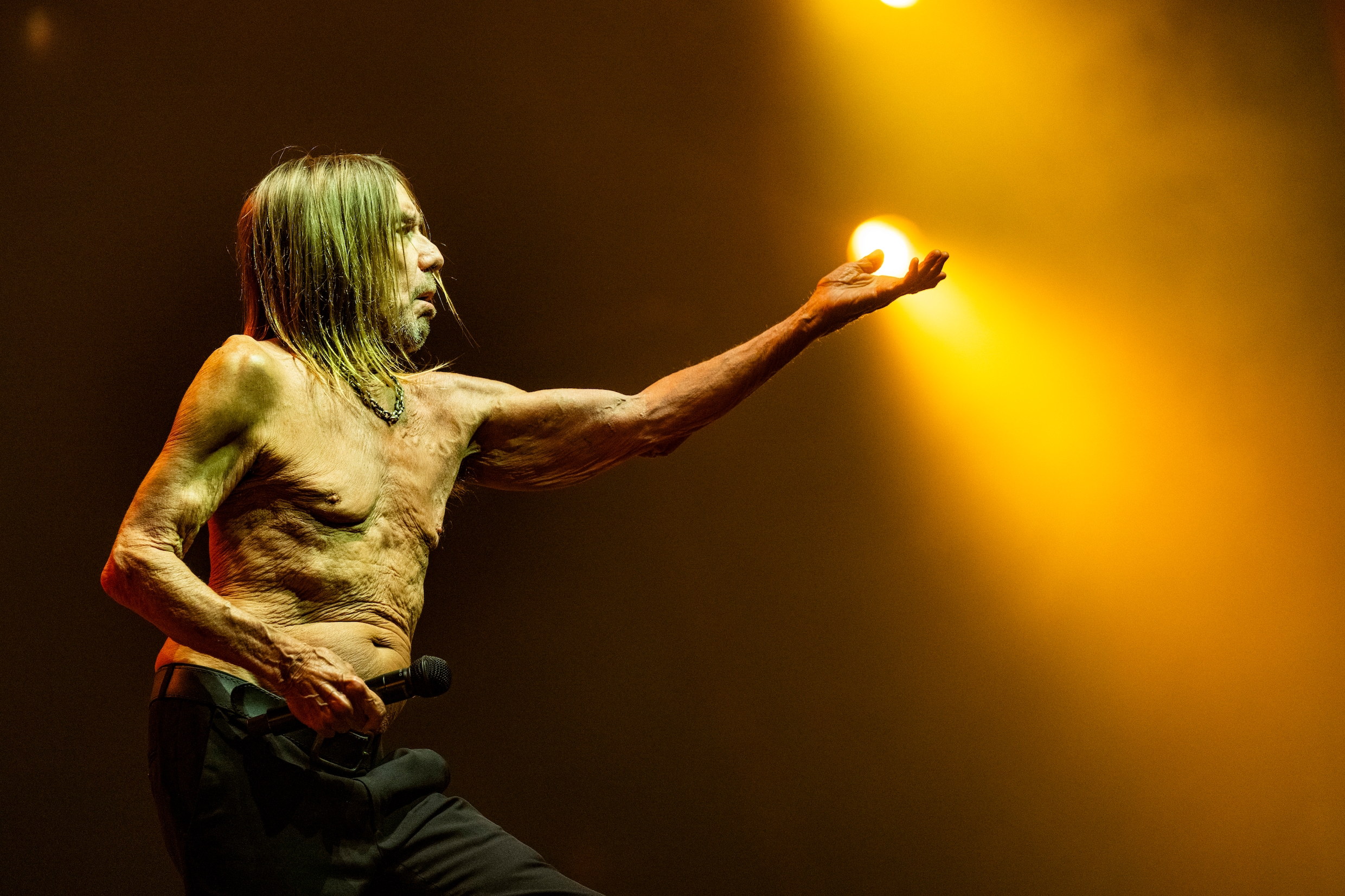 De rimpels van Iggy Pop, de gil van Olivia Rodrigo en de haai van Merol ...