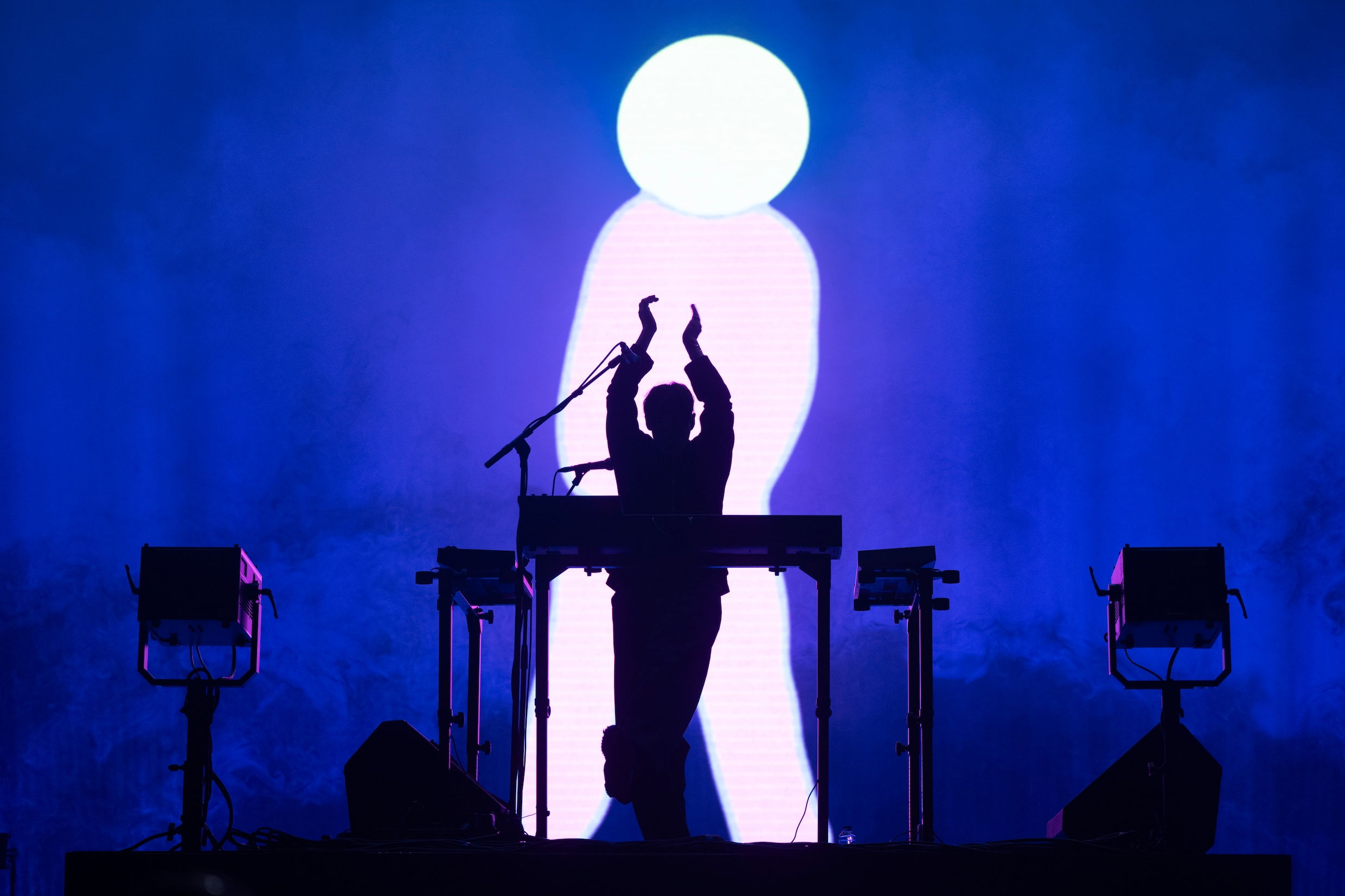 De rimpels van Iggy Pop, de gil van Olivia Rodrigo en de haai van Merol ...