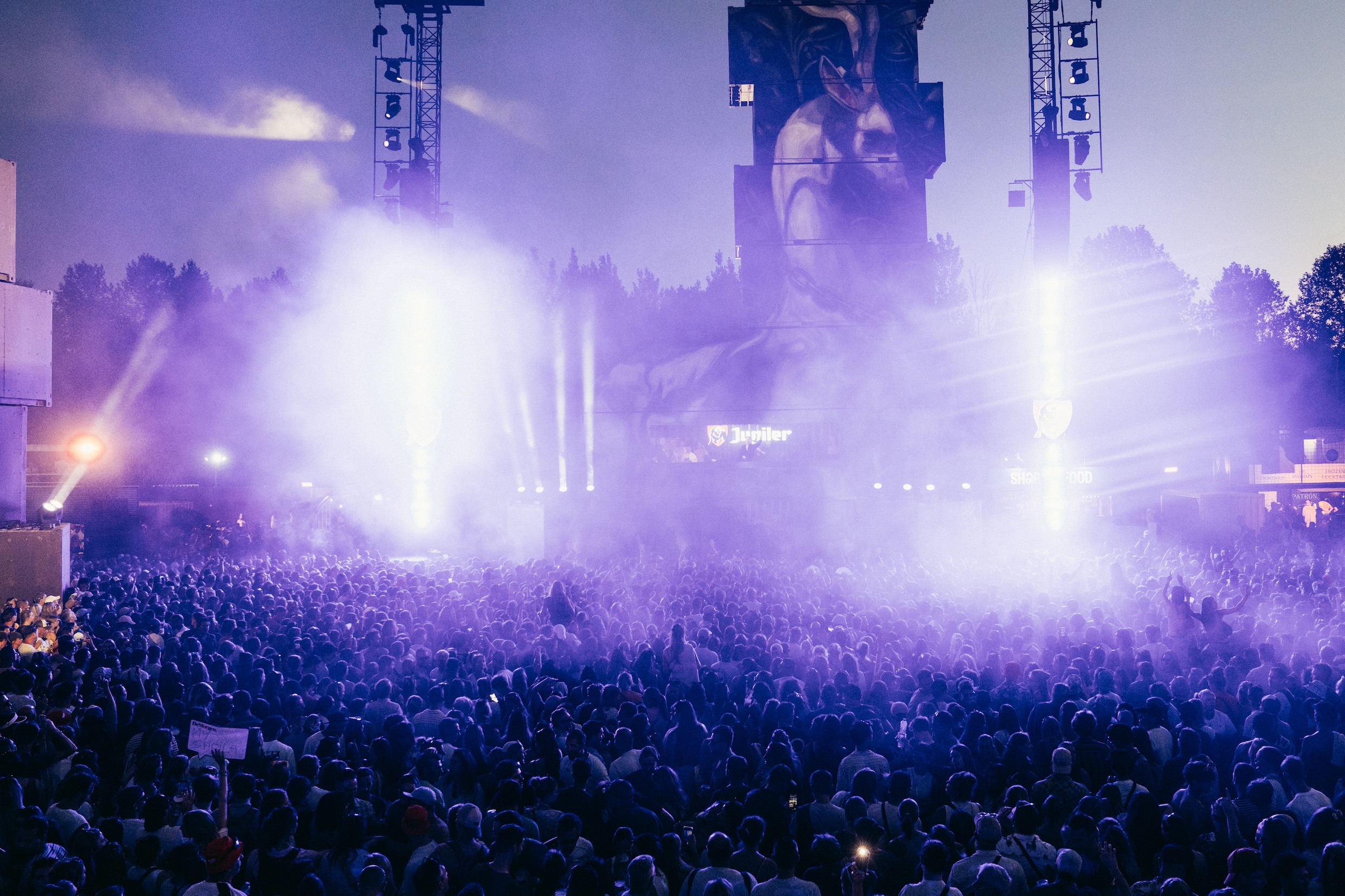 De rimpels van Iggy Pop, de gil van Olivia Rodrigo en de haai van Merol ...