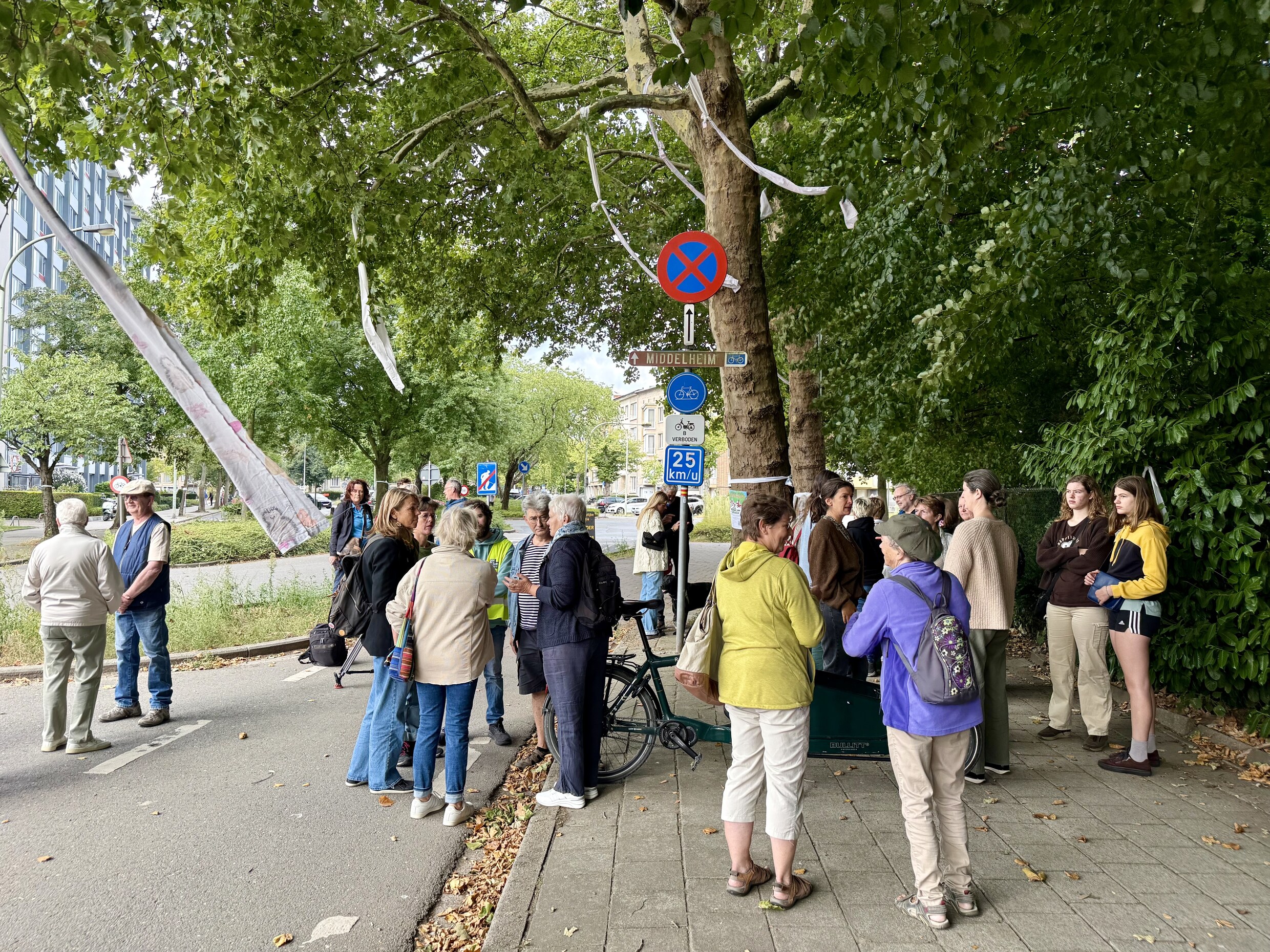 Koen Kennis, de N-VA-schepen achter de Deurnse bomenkap: ‘Hij is ...