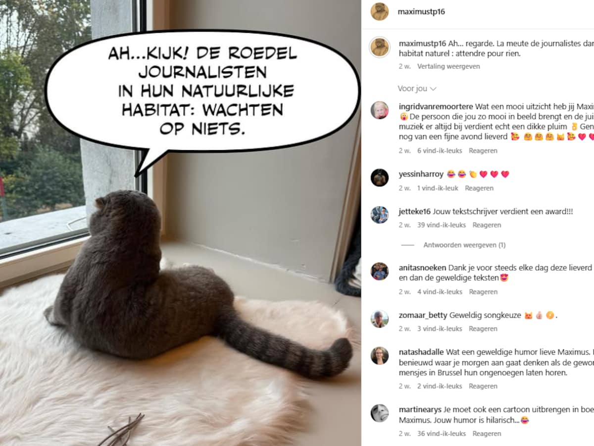 Nog Steeds Wachten Op Jou Meme