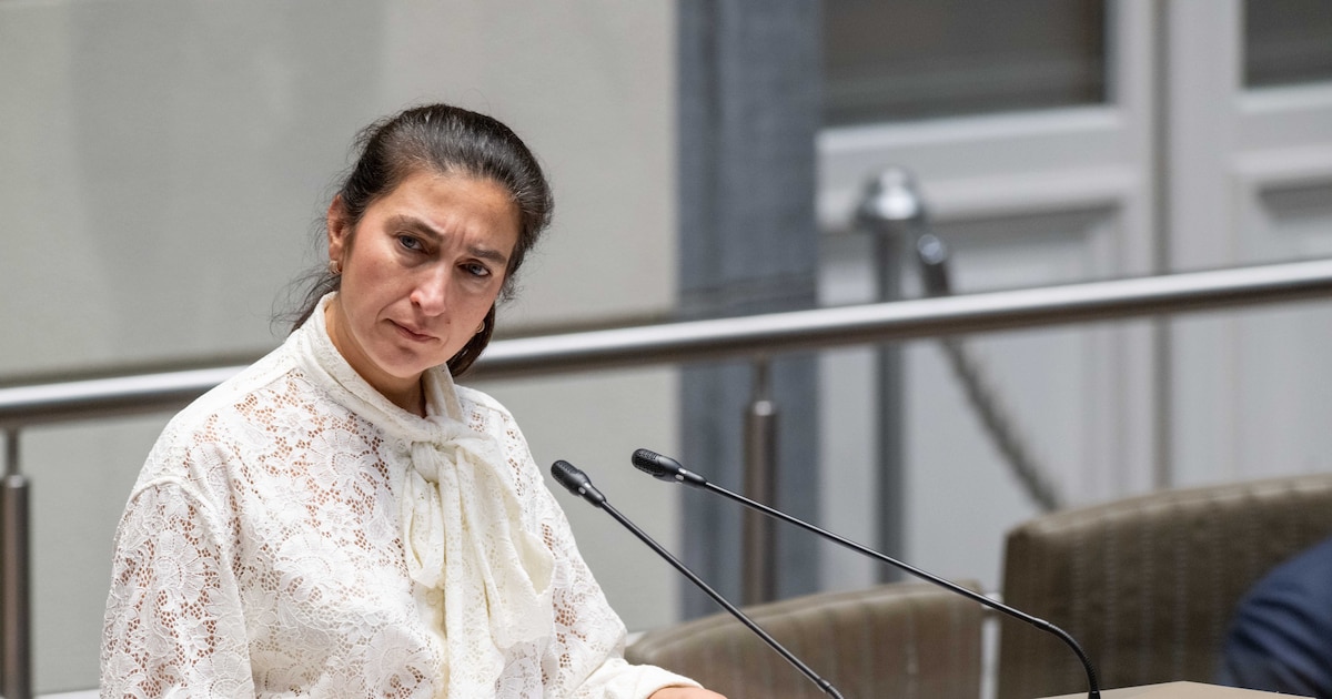 ‘Minister Demir heeft geen besef van hoe het eraan toegaat op een school’ | Humo: The Wild Site