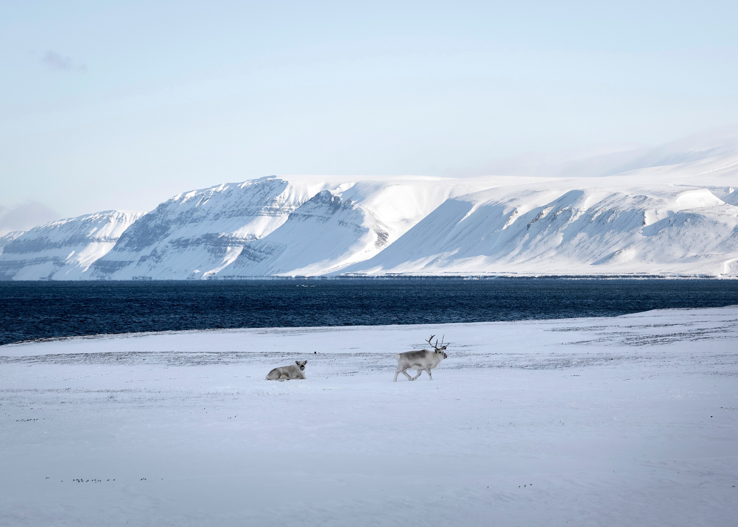Iedereen is welkom op Spitsbergen. Maar als het van Noorwegen afhangt ...