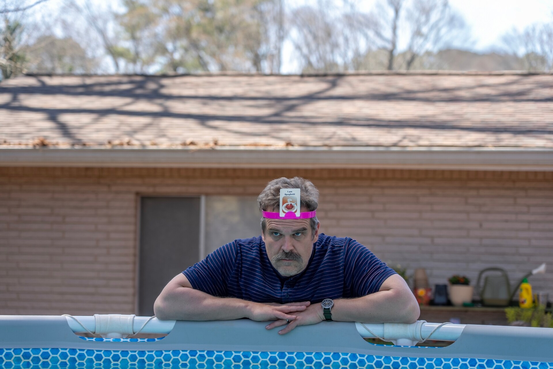 David Harbour, van ‘Stranger Things’ naar ‘DTF St. Louis’: ‘Ik vind ...