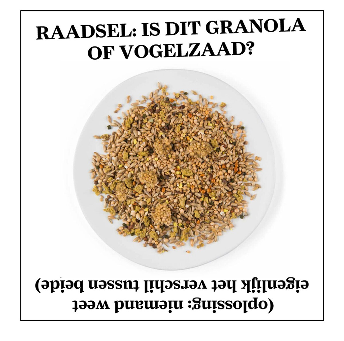 Sociaal Incapabele Michiel: granola of vogelzaad | Humo: The Wild Site