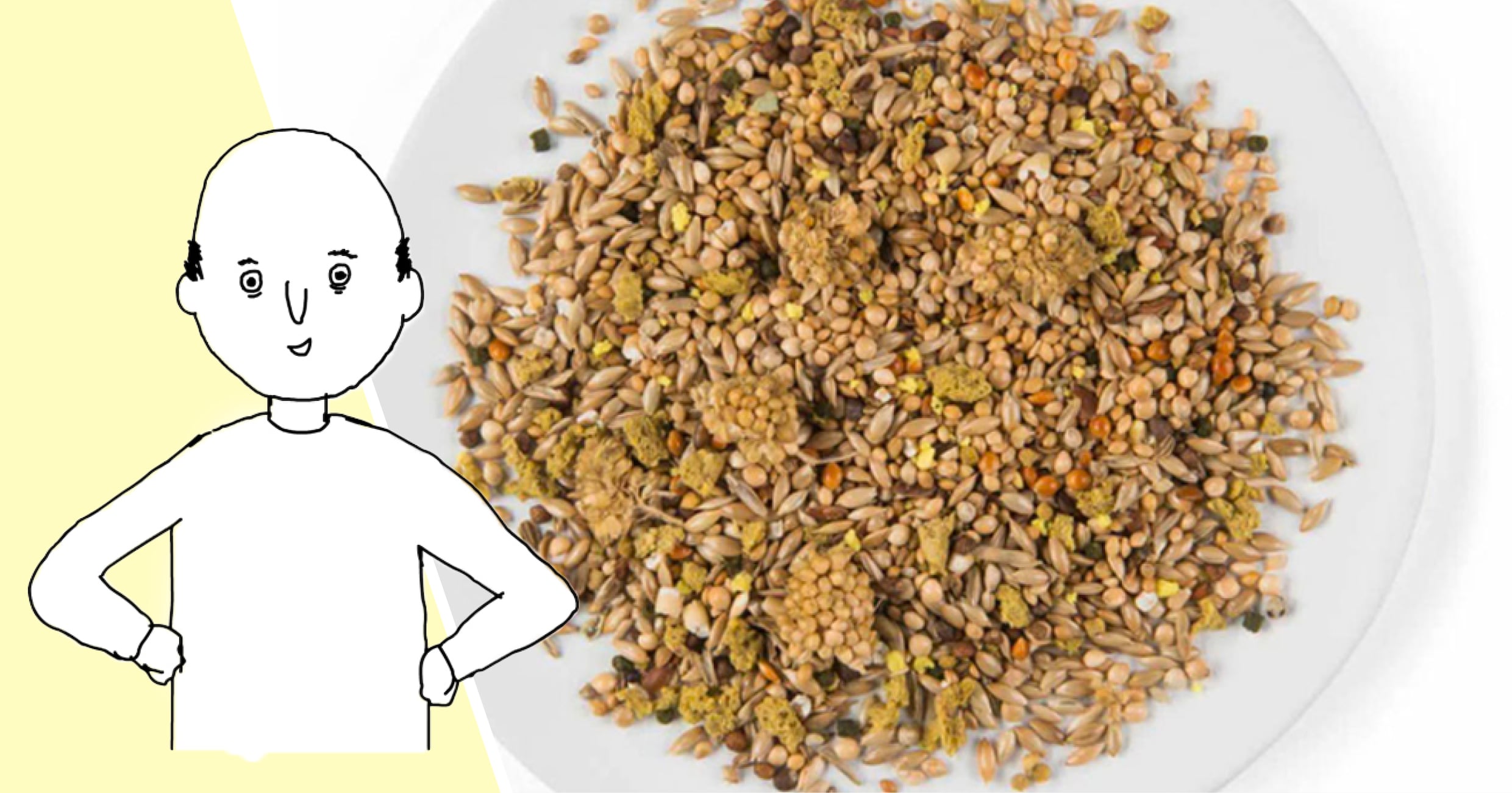 Sociaal Incapabele Michiel: granola of vogelzaad | Humo: The Wild Site