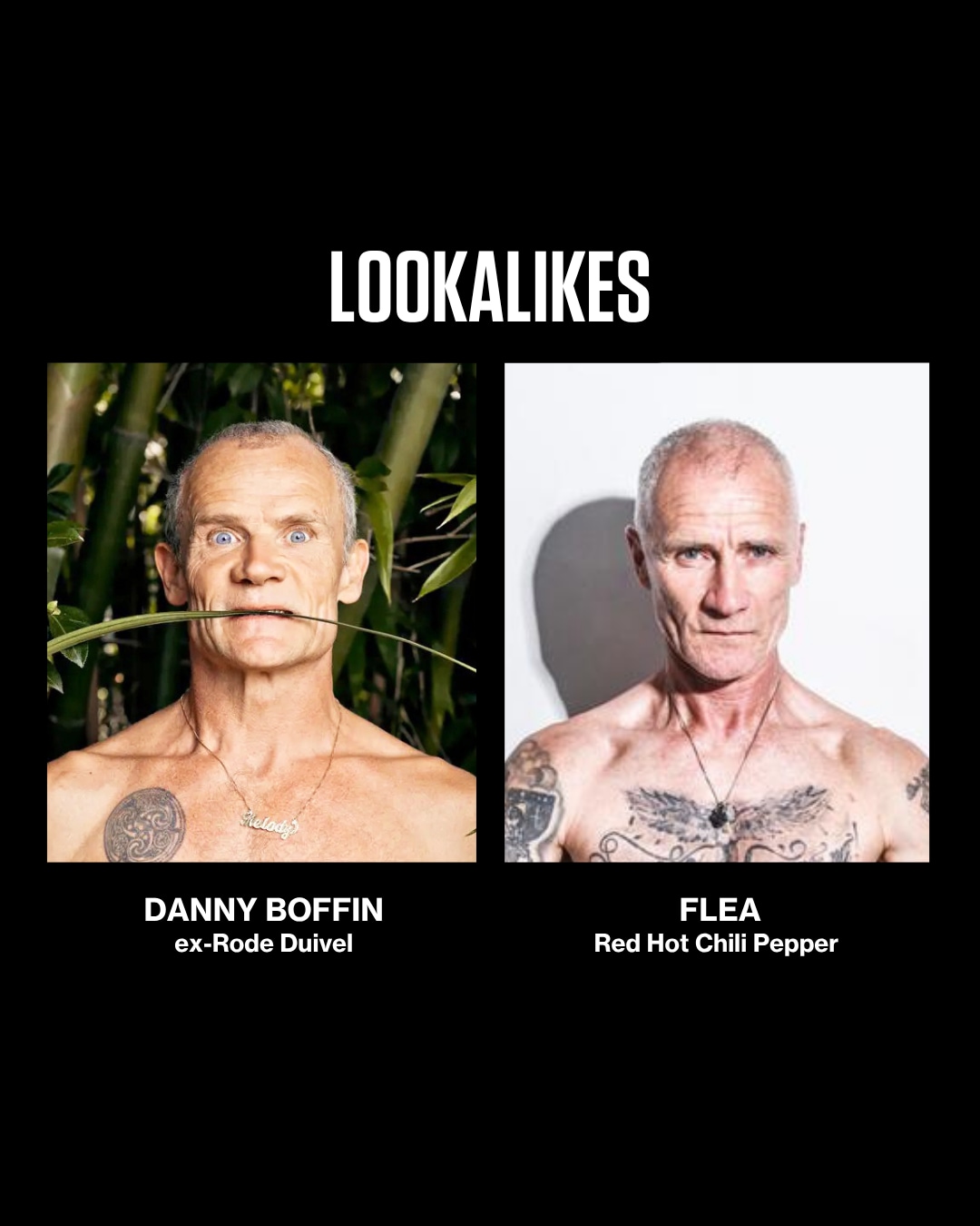 Is het Conner Rousseau of een Songfestivalkandidaat? Een Chili Pepper ...