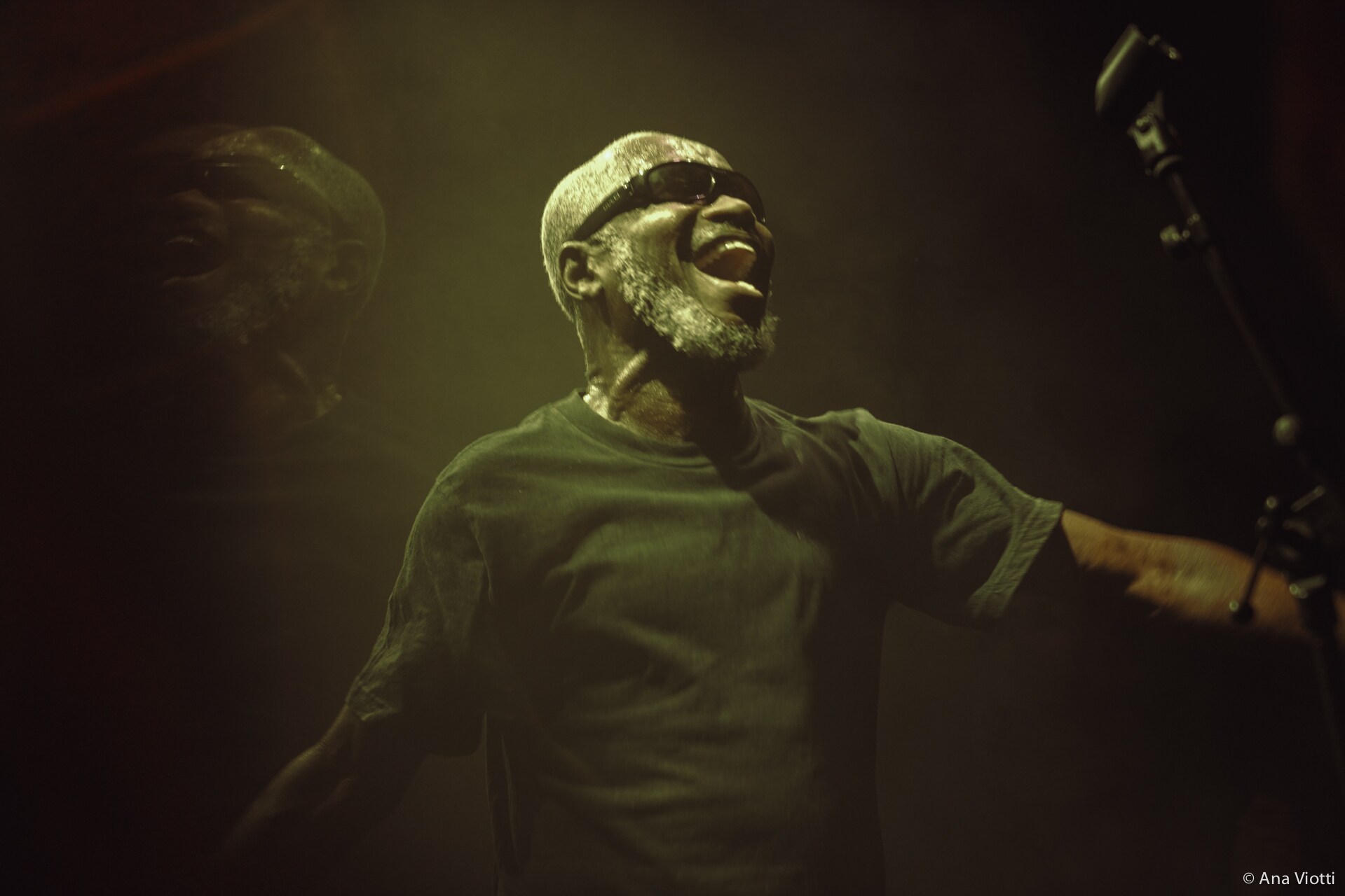 De concerten van de week | Humo: The Wild Site