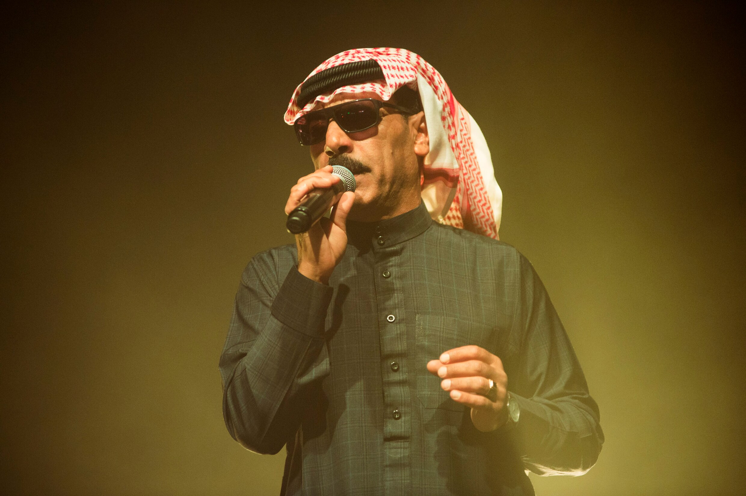 Bert van het concert | Humo: The Wild Site