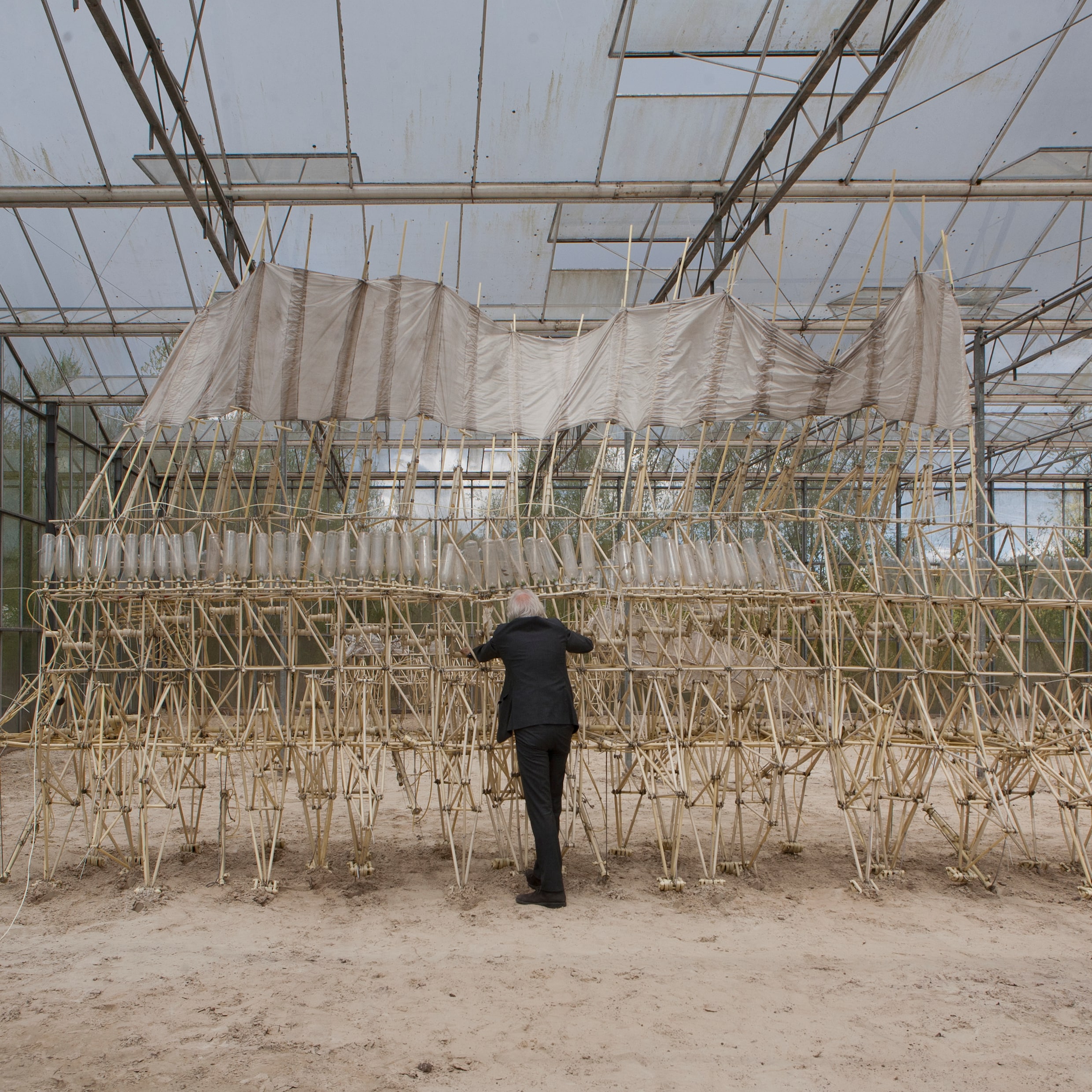 Gene Bervoets: ‘Toen ik Pommelien de eerste keer zag op de set van ...